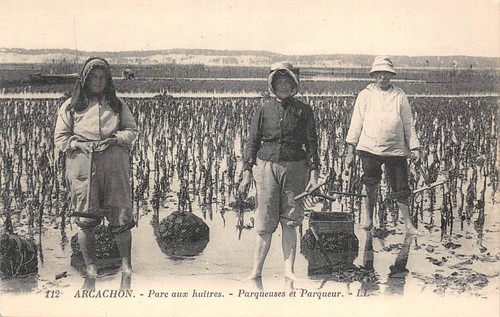 CPA ARCACHON Parc aux huîtres Parqueuses et Parqueur (141609) | eBay
