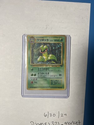 Japanese Pokémon Victreebel Jungle No.071 Unlimited Holo Rare | eBay