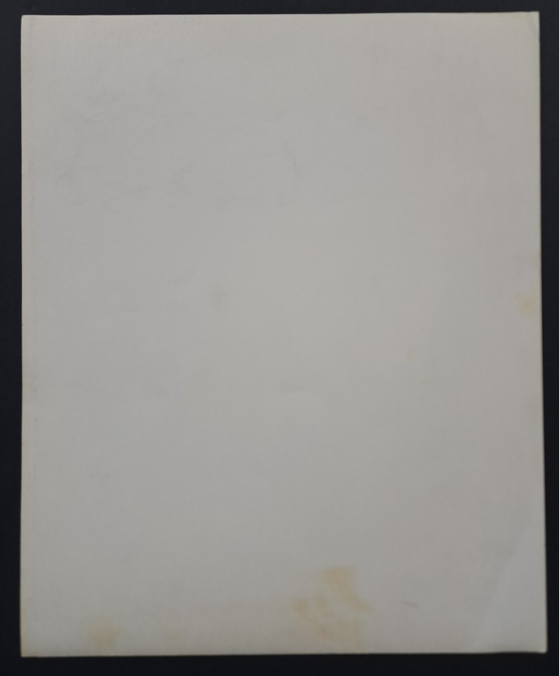 1961 Mickey Mantle World Series Wire Photo New York Yankees Vintage MLB ...