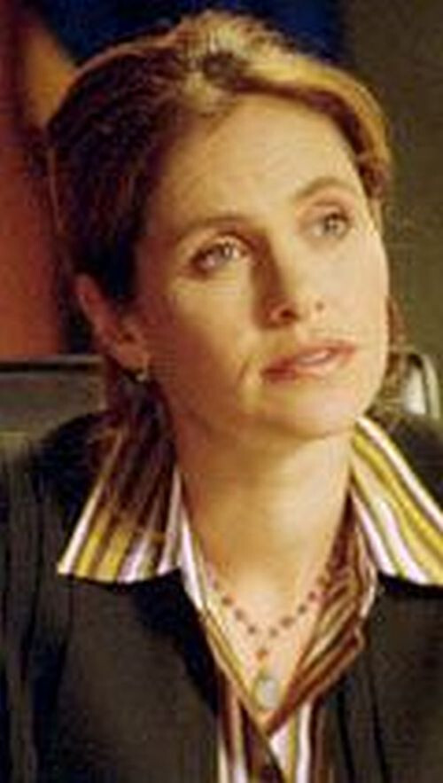 Judging Amy - Complete Series | eBay