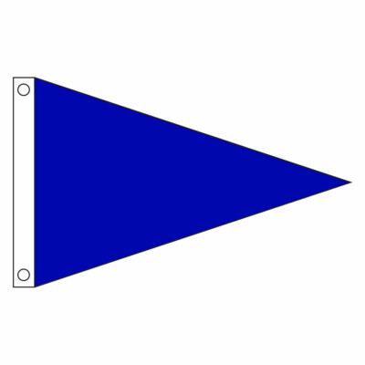 Solid Color 2ft x 3ft Nylon Pennant Flag - Royal Blue | eBay