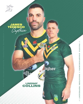 NRL RUGBY team PLAYER LEGEND POSTER, BARGAIN CHAMPIONS,roosters Sydney ...