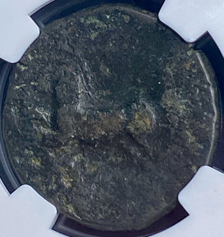 Numidian Empire 208BC-118BC NGC Ancient BC Micipsa Roman Punic War Era ...