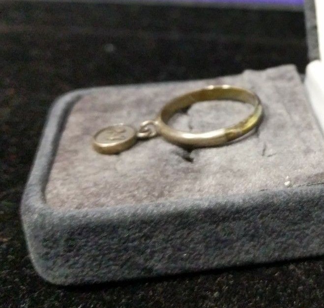 Jeff Gordon #24 Sterling Silver Toe Ring Sport Silver High Quality by ...