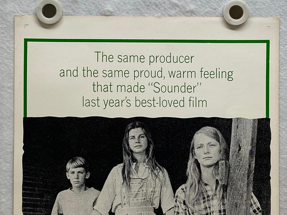 1974 Where the Lilies Bloom Insert 14x36 Movie Poster Julie Gholson Jan ...