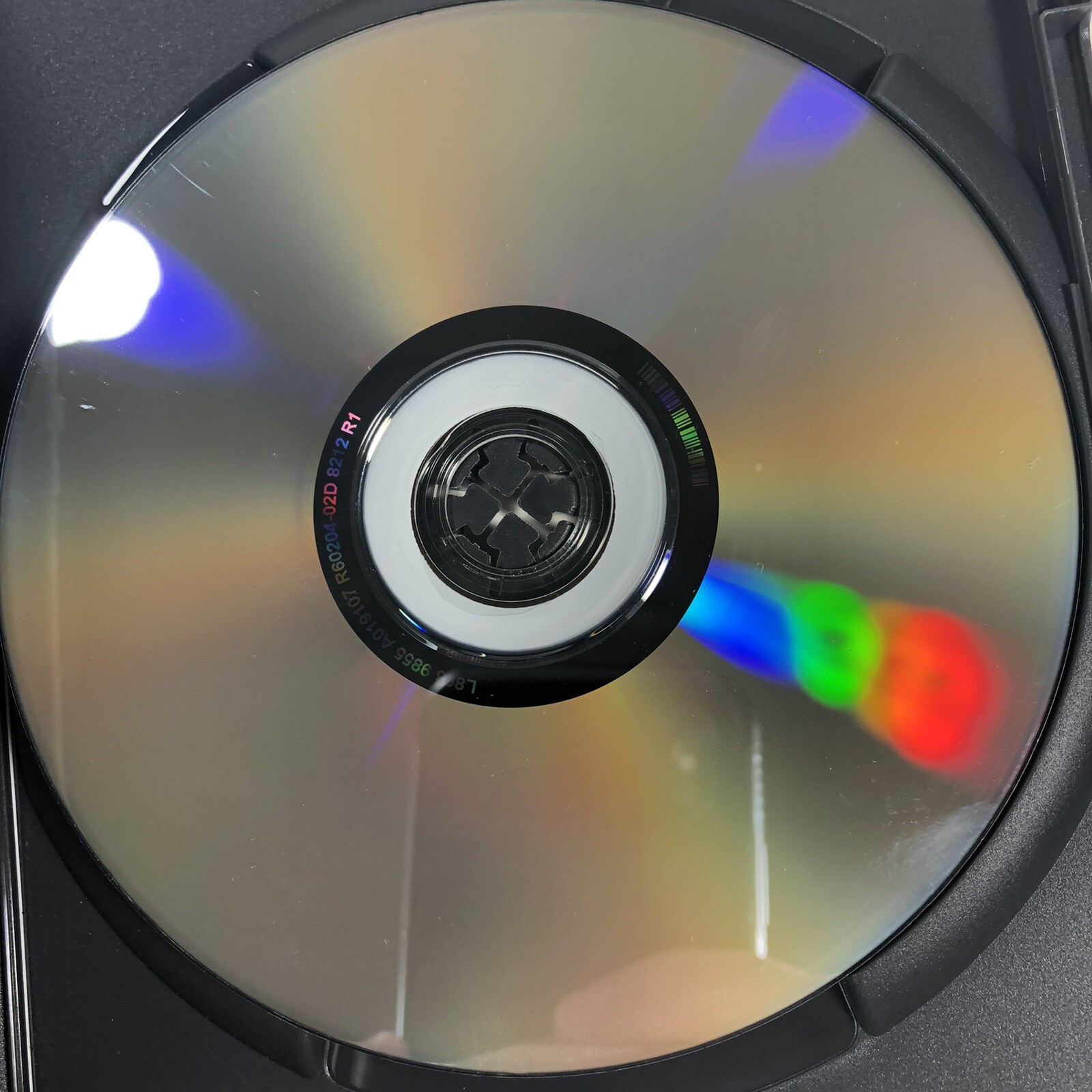 Attack of the Sabretooth DVD 2005 Nature Attacks Horror Comedy Schlock ...