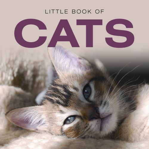 Cats by Clive Groome and Jon Stroud (2011, Hardcover) for sale online ...