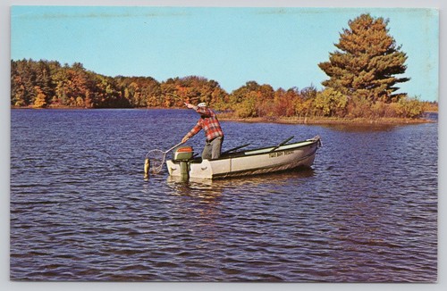 Lunkers Fishing Mio Michigan Vintage Postcard | eBay