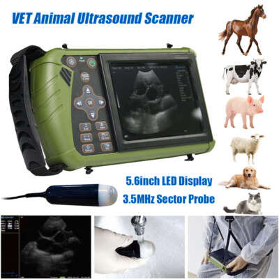 DAWEI Portable Vet Ultrasound Machine Handheld Scanner for Dog, Cow ...