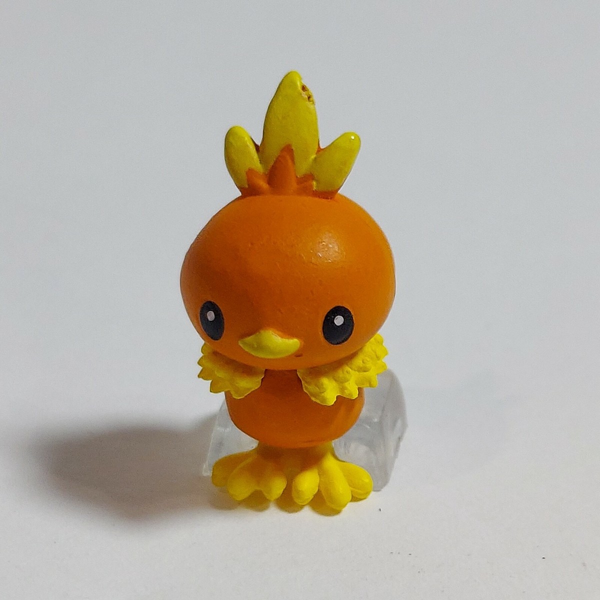 Torchic
