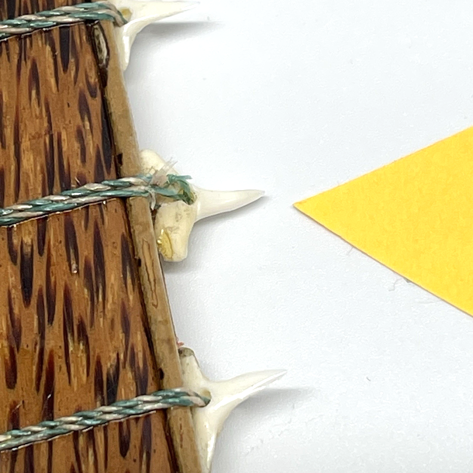 Gilbert Islands Shark Tooth Weapon 14.5" Kiribati Warriors Handmade ...