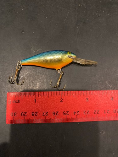 Rapala Shad Rap 5 Blue Silver Plate Orange | eBay