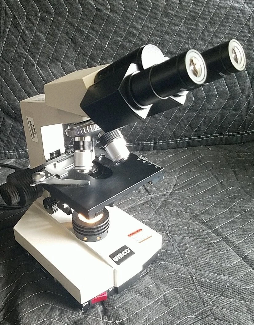 Binocular Microscope Diagram