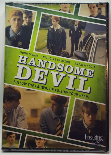Handsome Devil (DVD, 2016, Gay Interest, NEW) Fionn O'Shea, Andrew ...