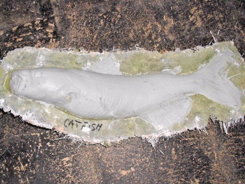23" CHANNEL CATFISH - unpainted fiberglass reproduction blank | eBay