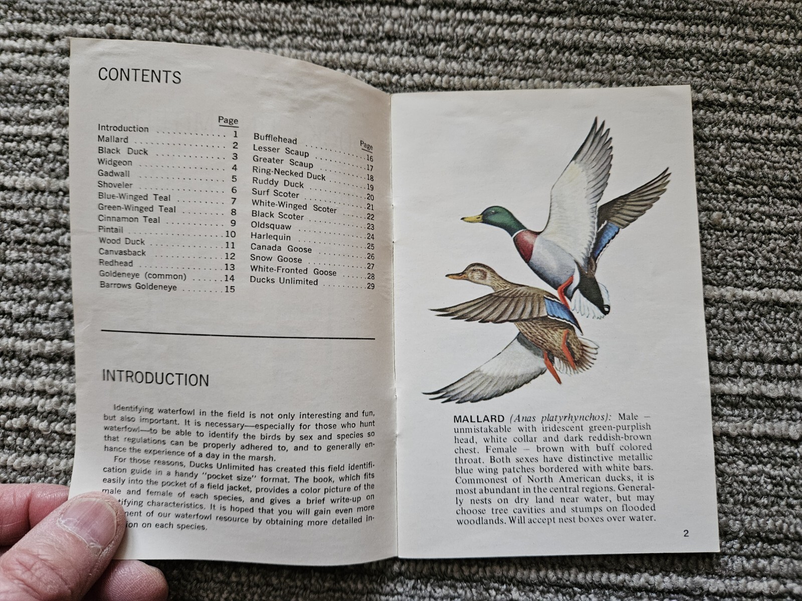 Ducks Unlimited's Wing Watchers Guide: Waterfoul Identification Guide ...