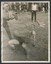 1922 GUST LESSIS World Famous "Greek Strong Man" Vintage Photo | eBay