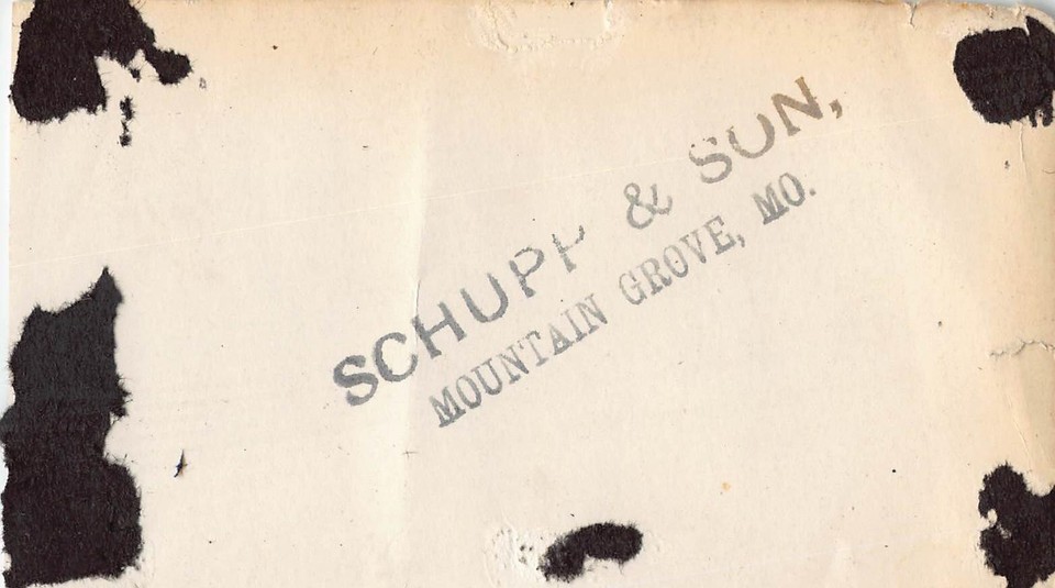 Antique Women Chickens Hens Mountain Grove Missouri 1930s Photo Farm ...