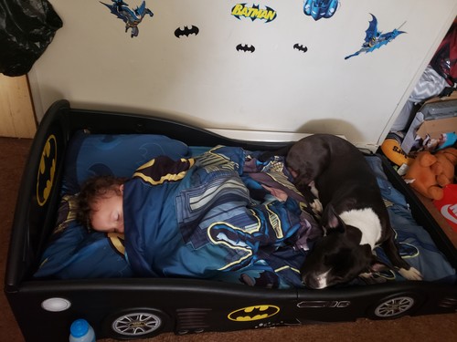 Batman Bedding Set Toddler Crib Boys Kids 4 Piece Bedspread Sheets Gift ...