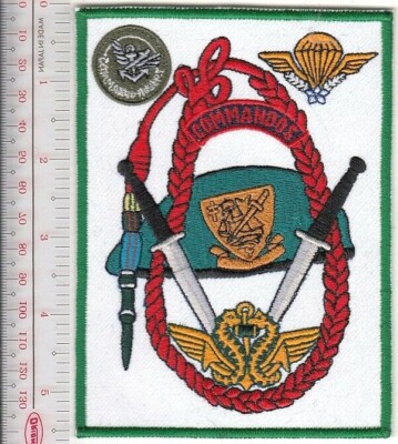 France Navy Commando Hubert Special Operations SCUBA Airborne Marine ...