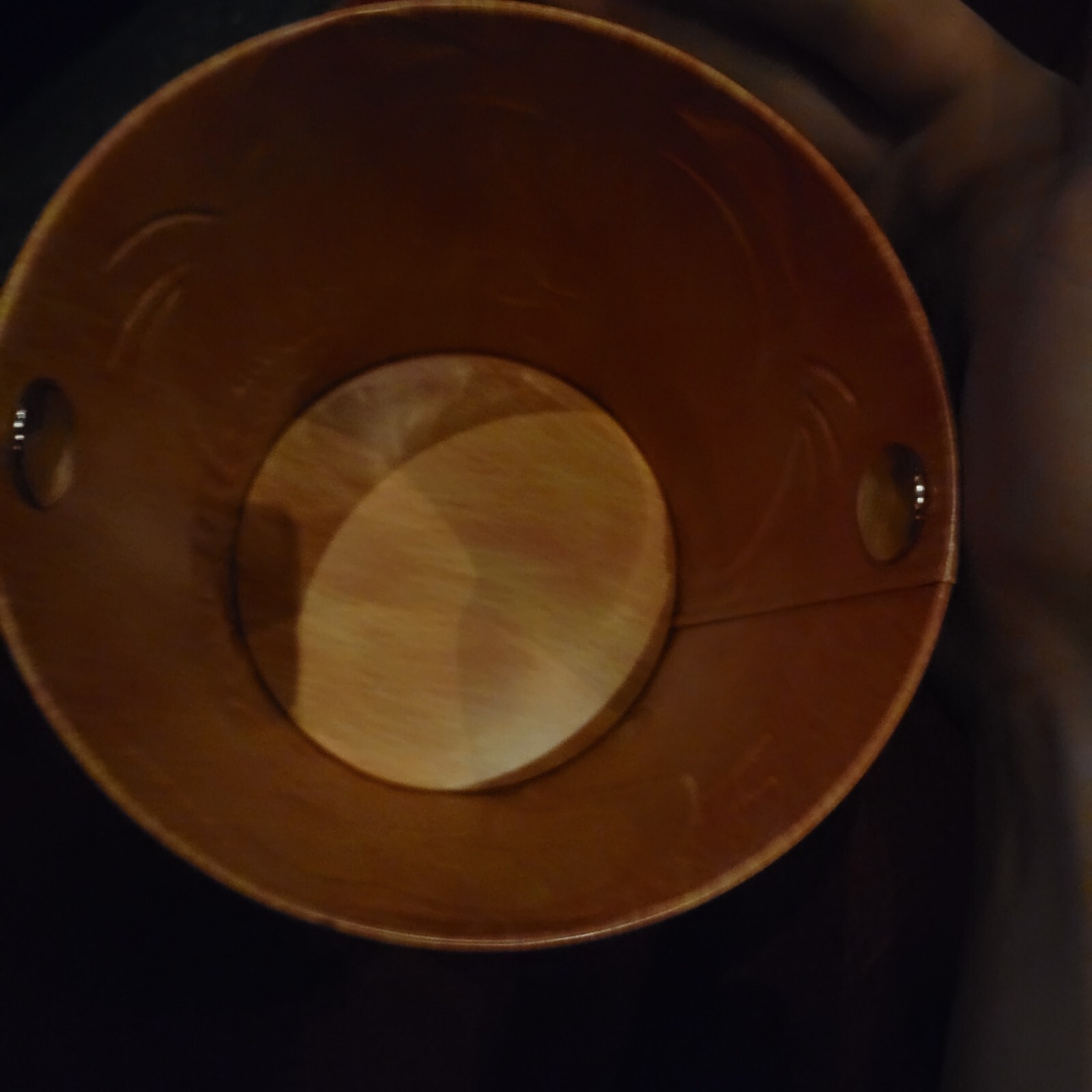 AMC 2024 Exclusive The Garfield Movie | Grelly UK