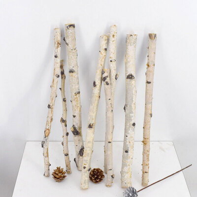 1Pc Natural Dried Tree Branch Birch Stick Flower Home Garden Party ...
