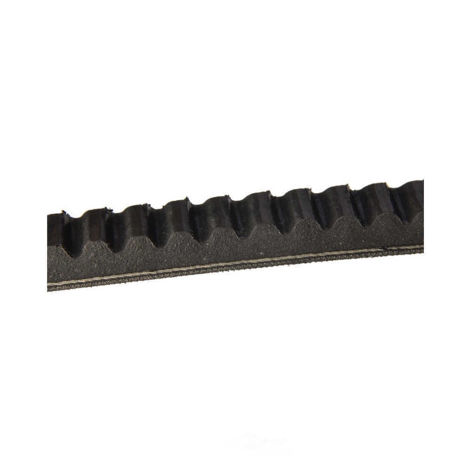 Accessory Drive Belt-Automotive V-Belt Continental Elite 17521 | eBay