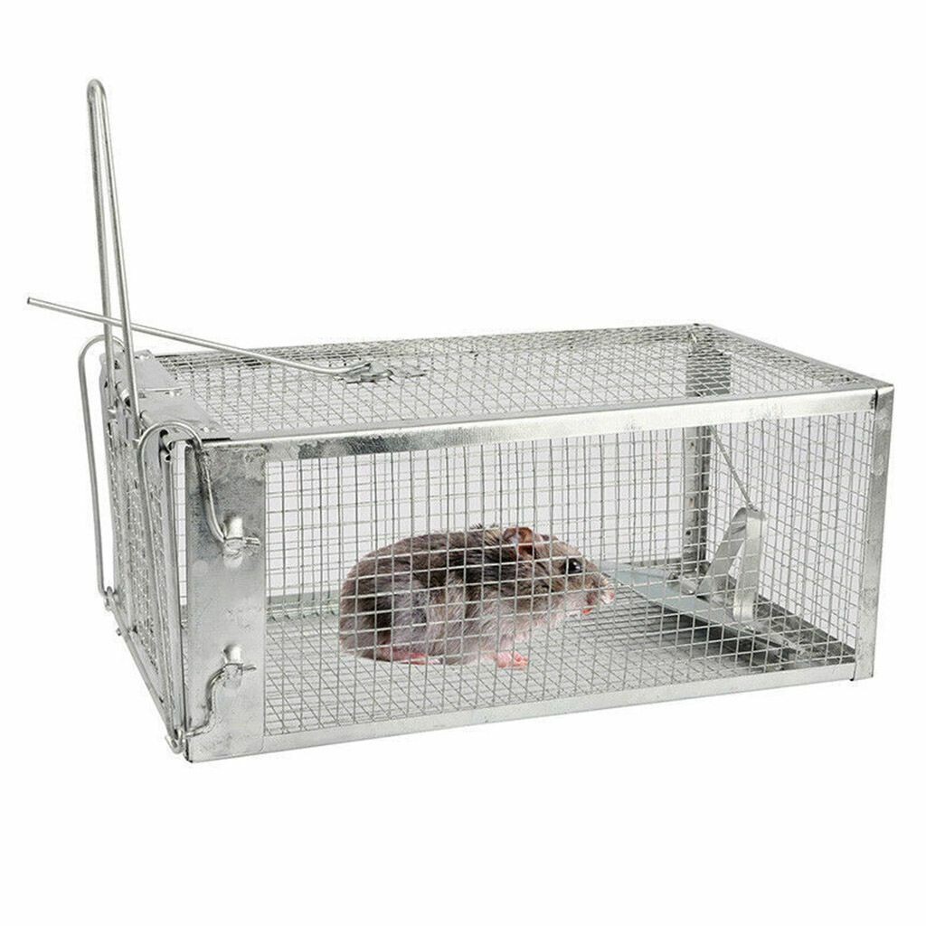 USA Mouse Trap Rat Trap Rodent Trap Live Catch Cage Easy to Set Up and ...
