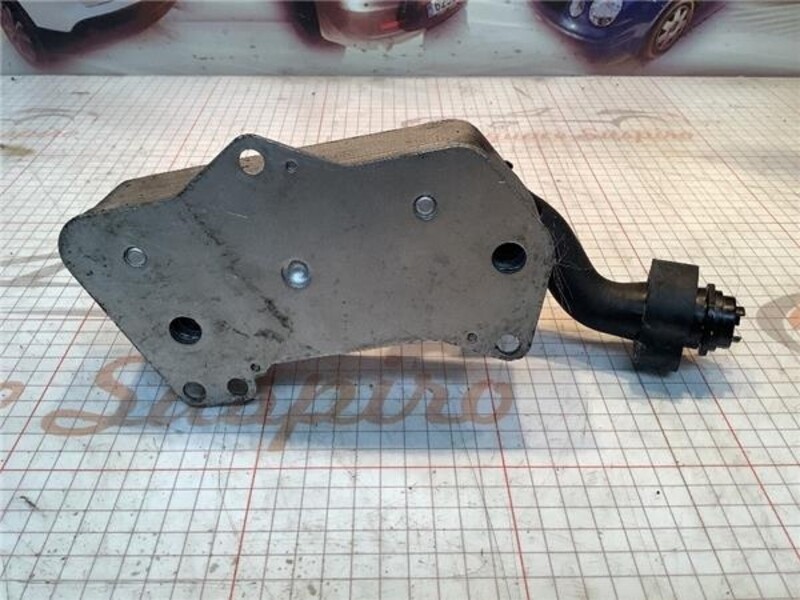 02e409061d refrigeratore olio motore per VOLKSWAGEN POLO VI (AW1)(08. ...