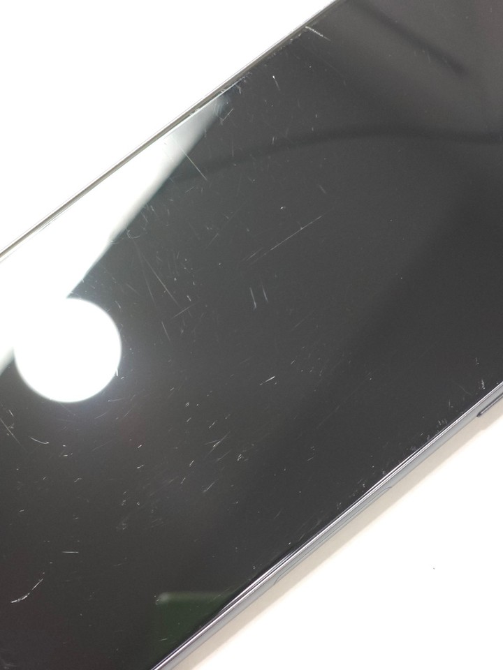 Samsung Galaxy S21 FE G990U Screen Display AMOLED Gray Original OEM ...