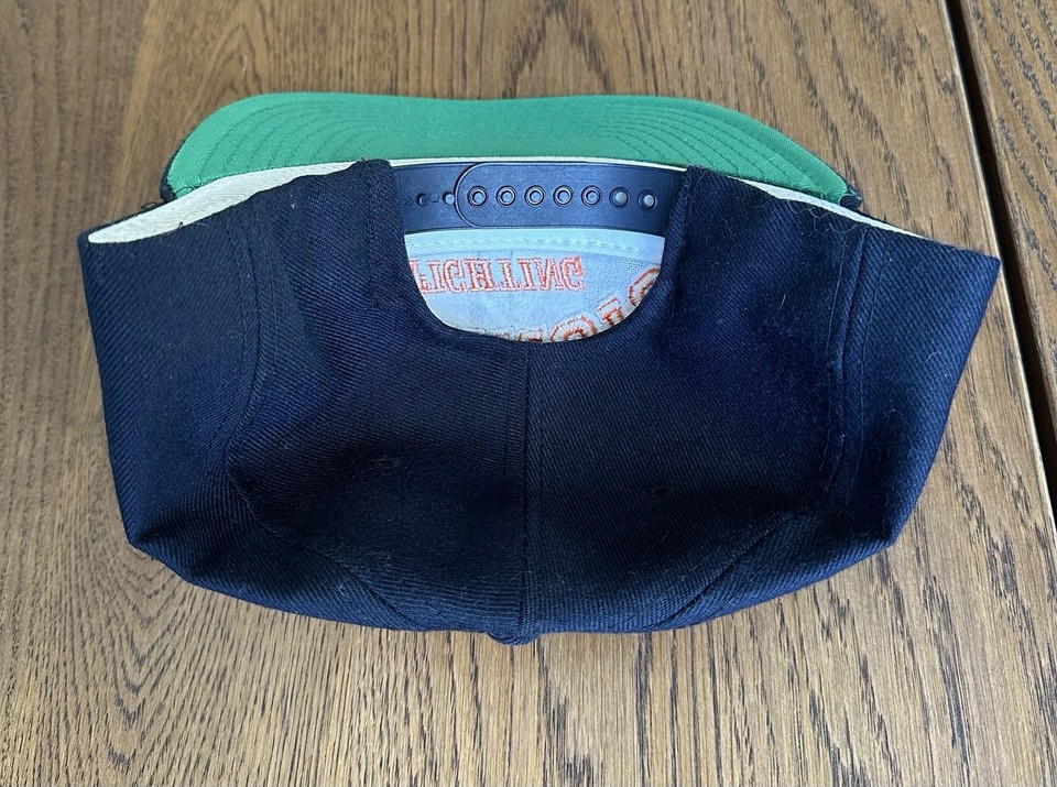Vintage University Of Illinois Fighting Illini New Era Snapback Hat | eBay