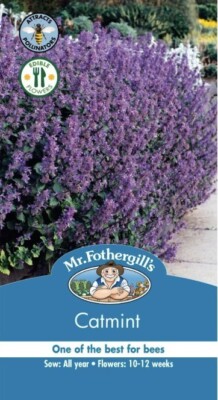 ***TOP QUALITY SEEDS***Catmint x 200 Seeds EDIBLE FLOWERS | eBay