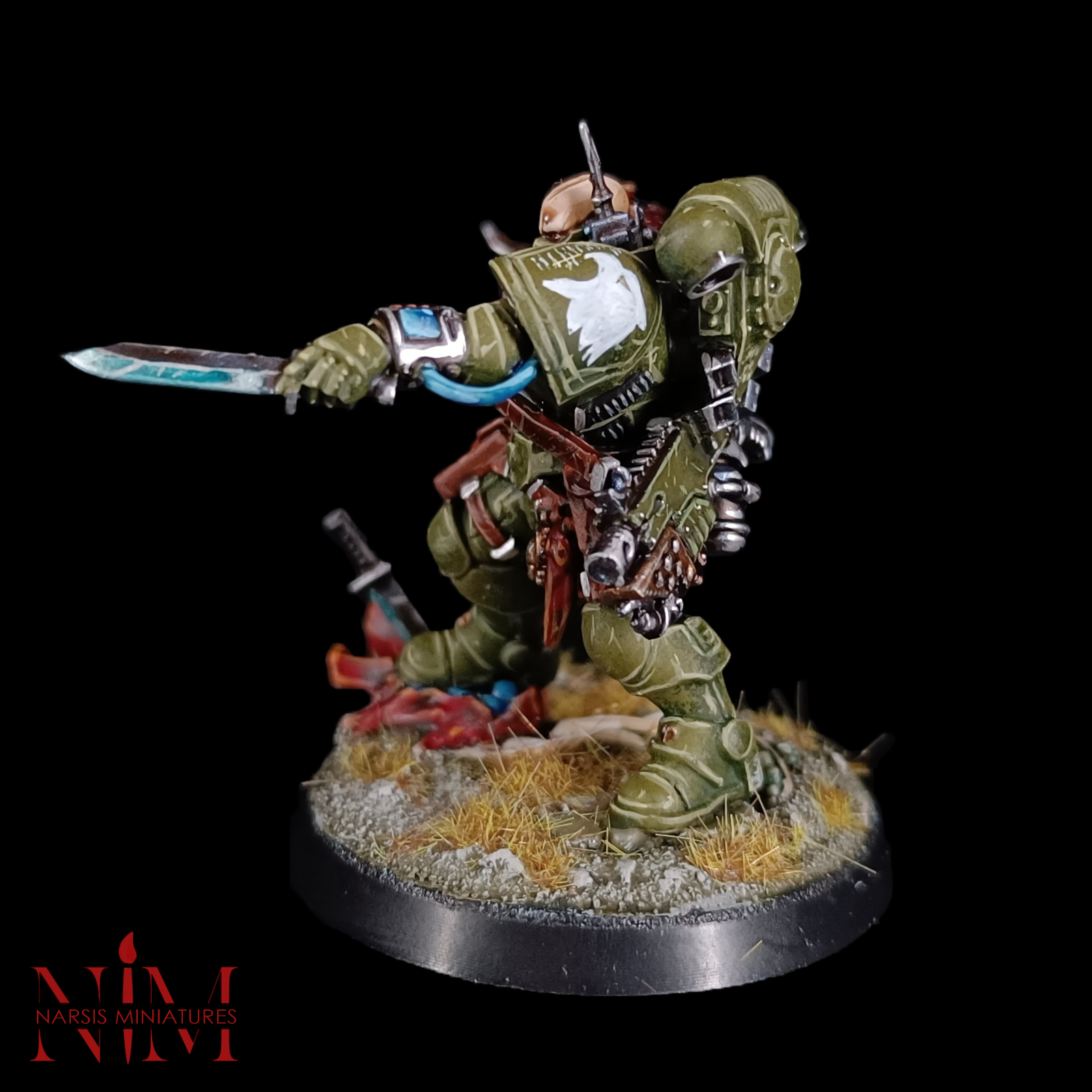 Warhammer 40k painted Raptors lieutenant in phobos armour with combi ...