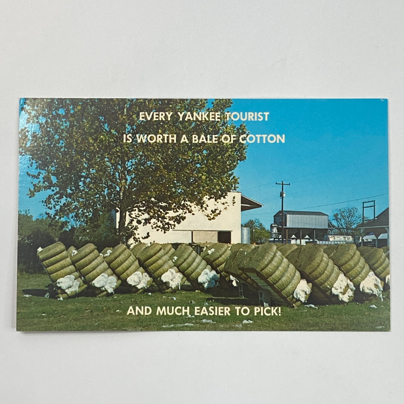 Greetings from Dixie Bales of Cotton Yankee Tourist Chrome Postcard | eBay