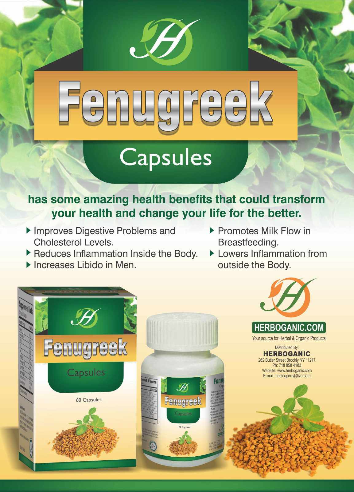 Fenugreek Capsule 60 Capsules, Dietary Suppelment Herbal Remedy Natural ...