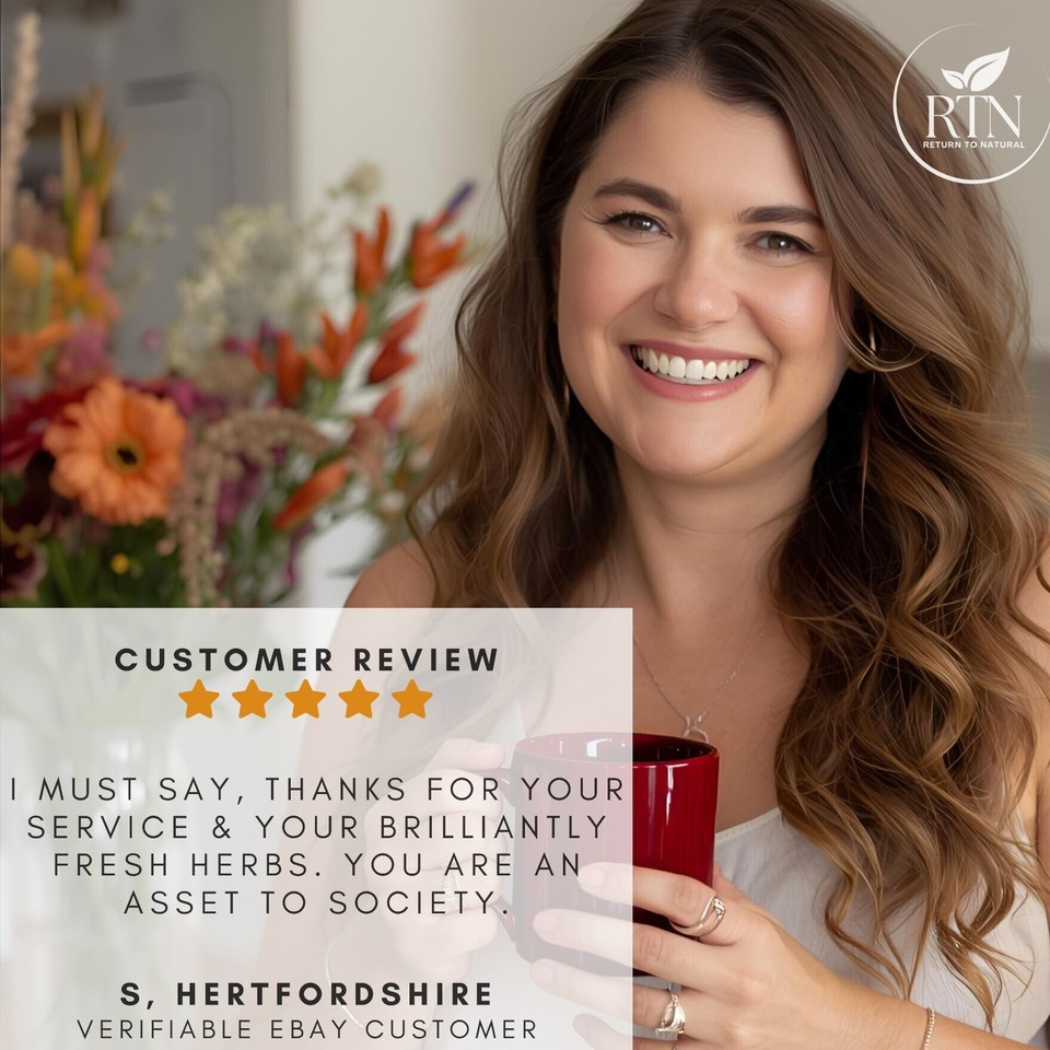 Nettle Leaf Dried Herb Tea Pokrzywa High A Grade Quality Nature Grown ...