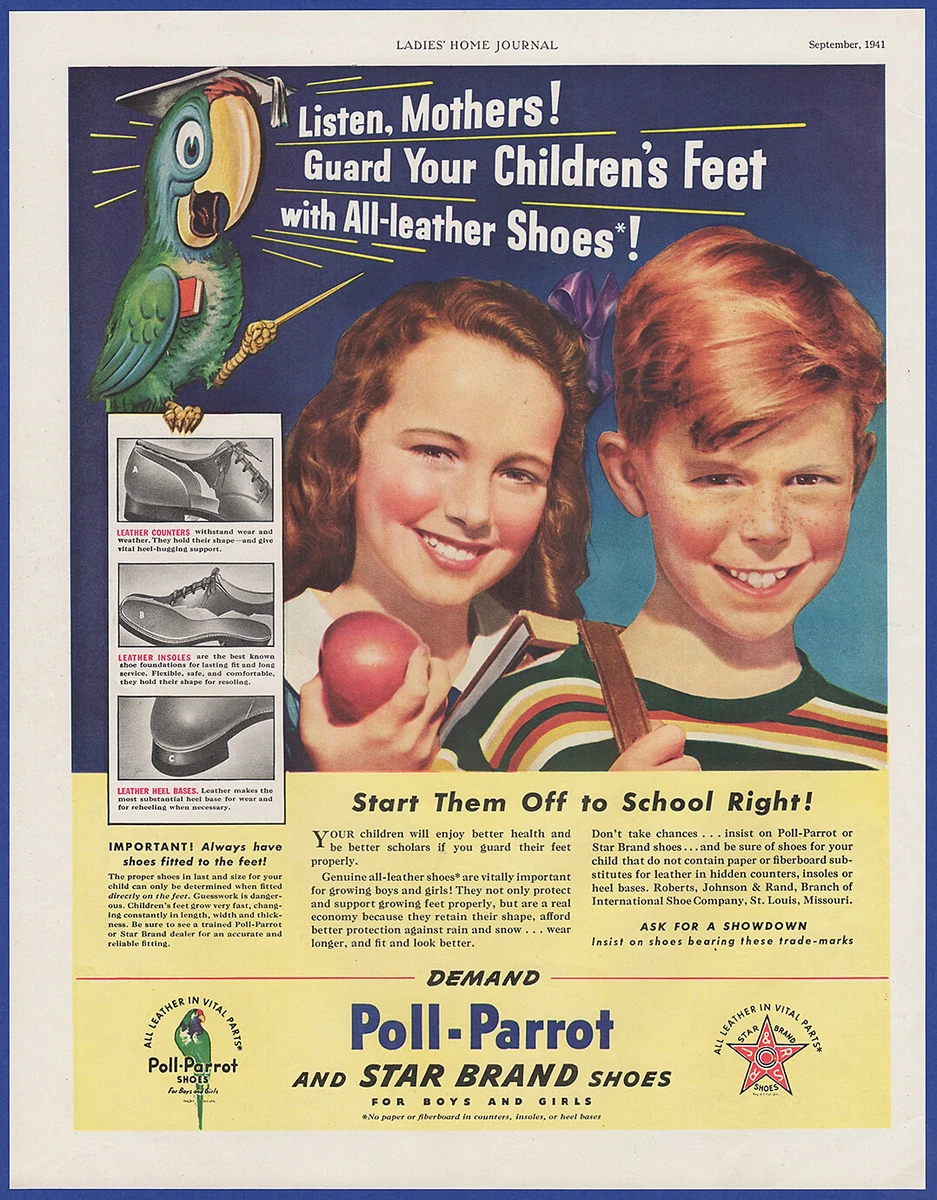 Paul Parrot Shoes