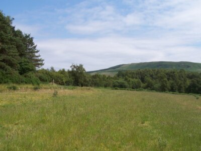 Photo 6x4 Craigendoran Black Wood Ben Bowie in the background c2006 ...