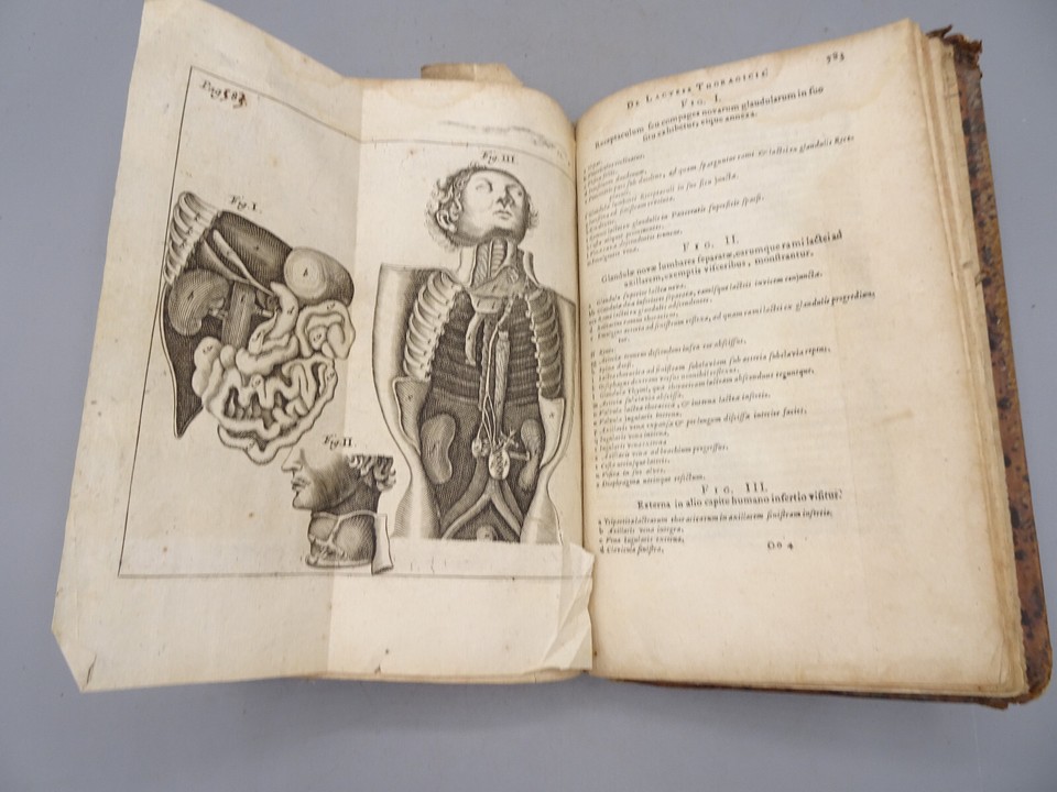 ANATOMIA.Ex Casparis Bartholini.Anatomie,par Thomas Bartholin.Vlack ...
