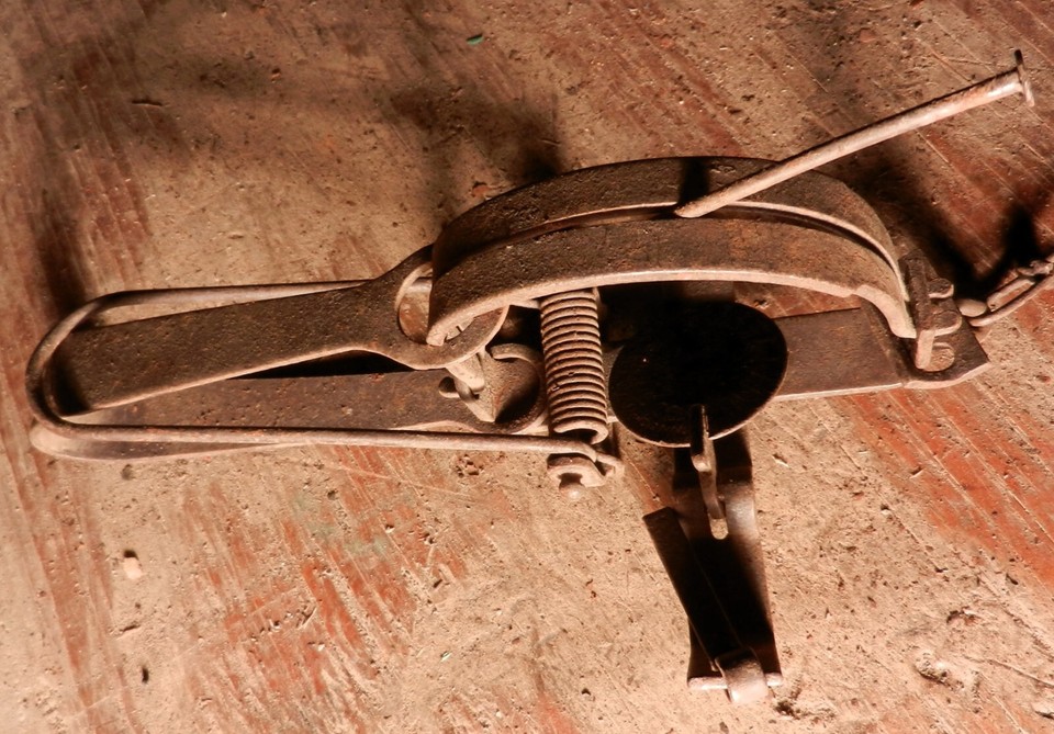 Vintage Victor/Blake & Lamb #1 Long Spring Stop-Loss Sure Catch Trap ...