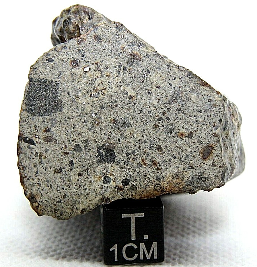 NEA 020 LL4-7 Breccia Chondrite rare Meteorite 119 Gram main mass ...