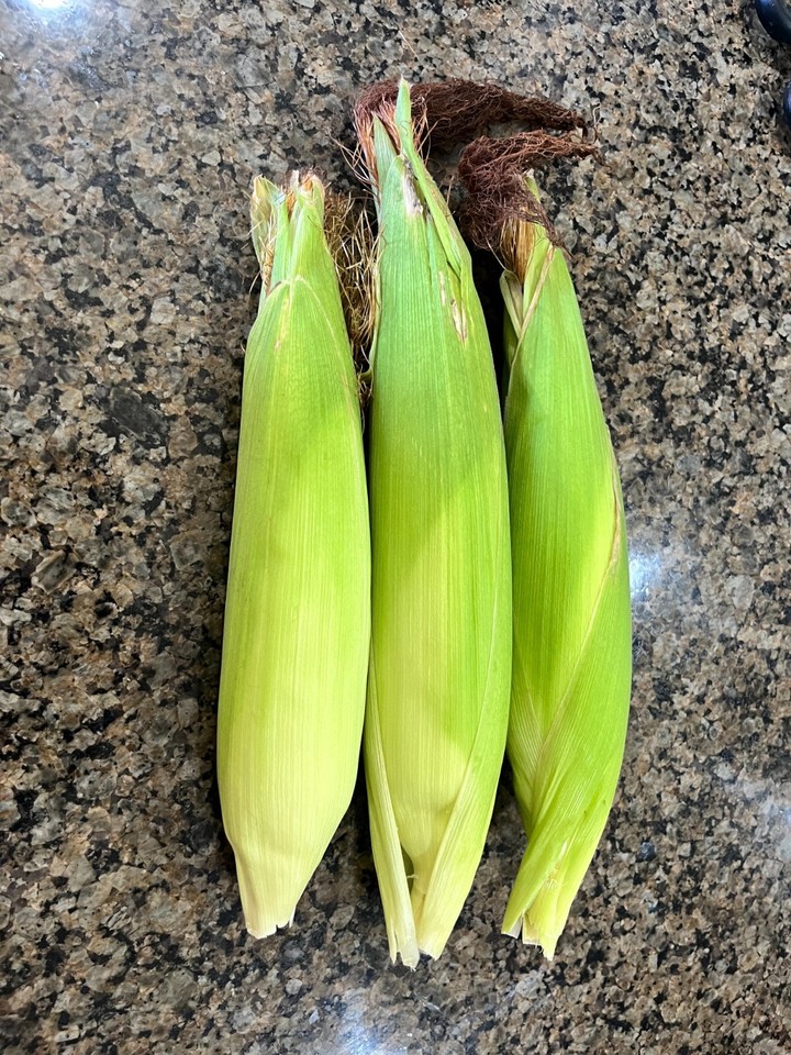 300 Seeds Yellow Waxy Sticky Corn High Glutinous Maize 2025 Crop 东北粘苞米 ...