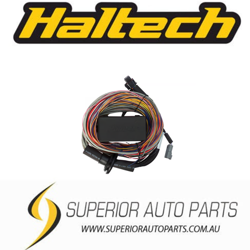 Haltech Elite 550 Premium Universal Wire-in Harness 2.5m (8’) HT-140404 ...