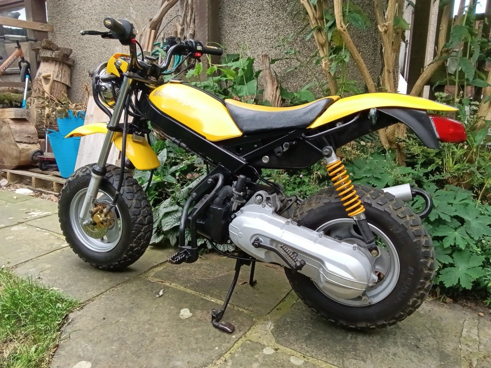adly rt50 monkey bike pit bike fun, Suzuki street magic | eBay UK