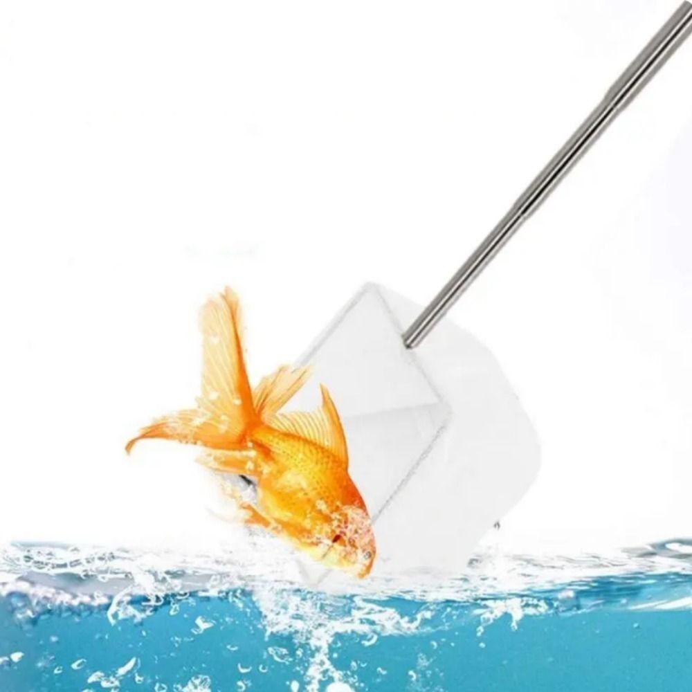 Long Handle Goldfish Net Telescopic Soft Aquarium Shrimp Net New Fish ...