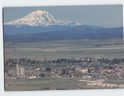 Postcard The Columbia River Series Glendale Washington USA | eBay