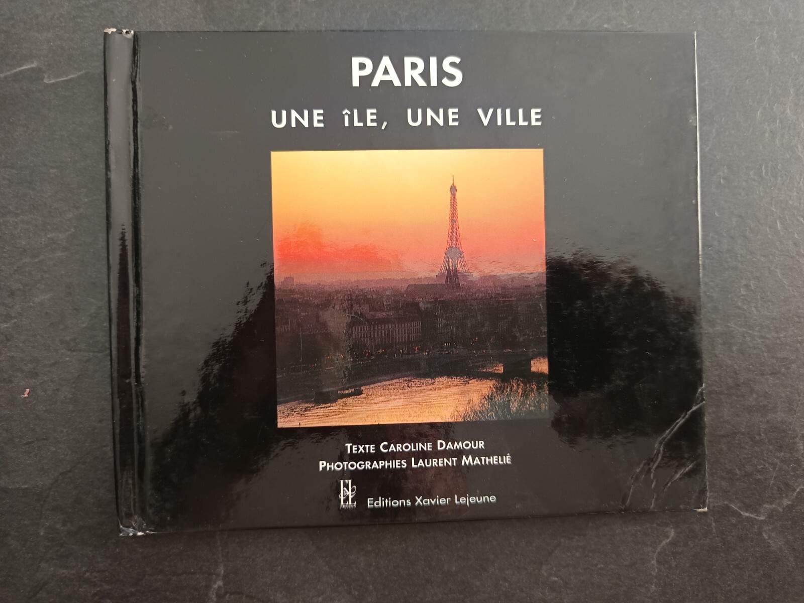 Paris, an island, a city - Caroline Damour and Laurent Mathelié - lev ...