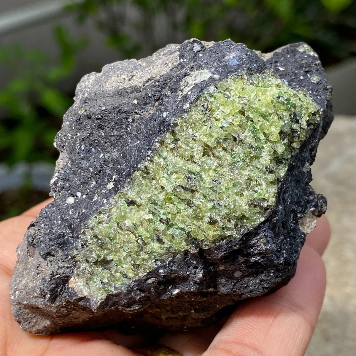 Olivine Rock