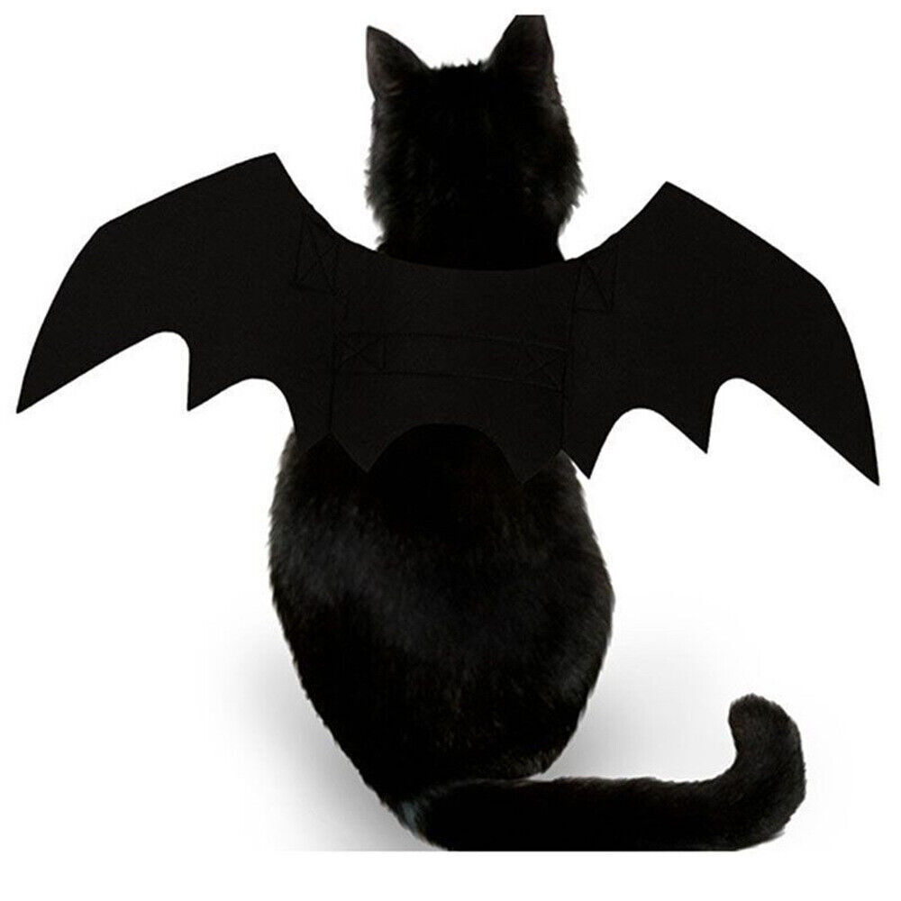 Black Bat Wings Cat Kitten Puppy Dog Pet Halloween Costume Cosplay ...