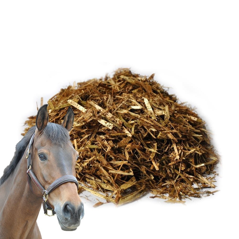 Dengie Hi-Fi Original Brown Horse Feed 20 Kg | eBay UK